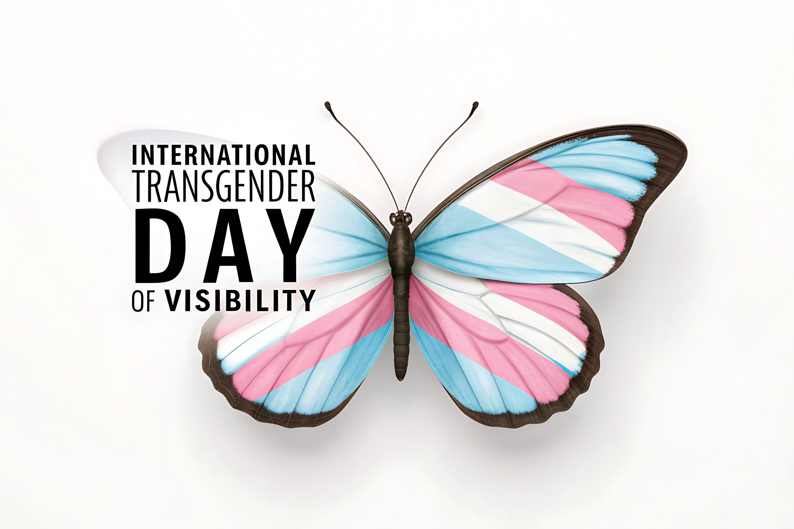 Happy Transgender Day of Visibility! - LGBTQ Center